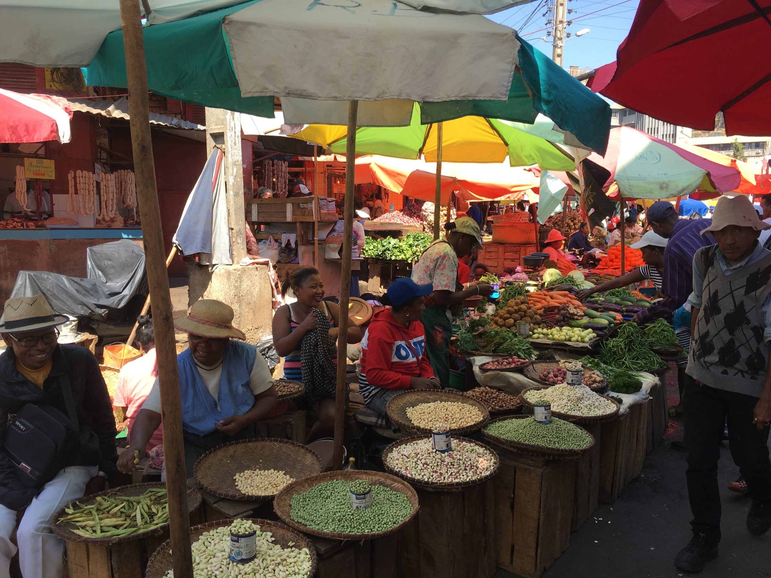 ON HOLD: GSLL 1518 - Community-Based Food Systems - Village Earth