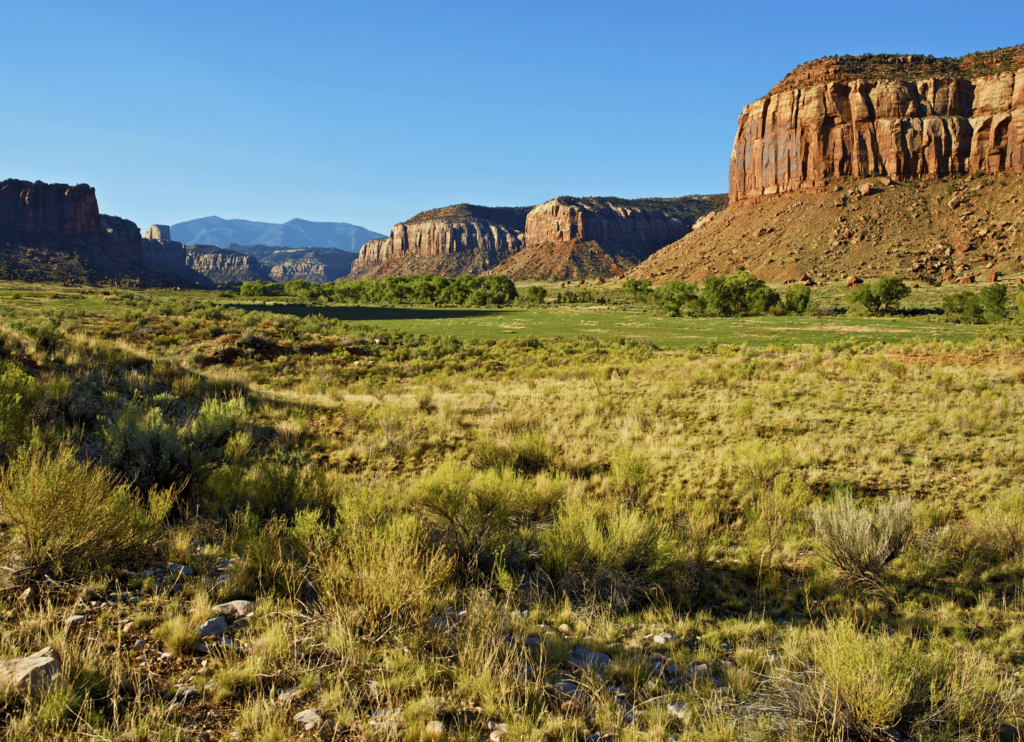 Native Lands Advocacy Project - Village Earth